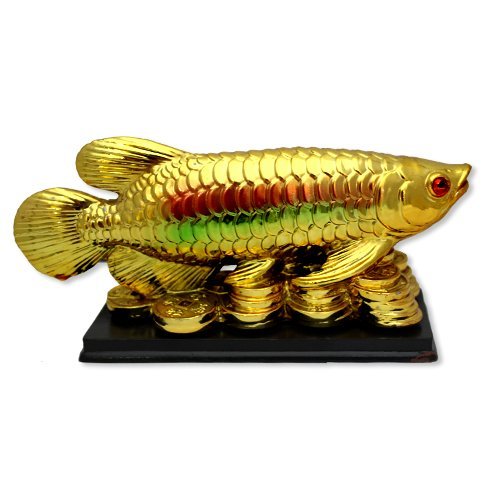 Buy RIPE INDIA® Feng Shui Golden Arowana Fish Strong Wealth Symbol ...