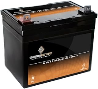 Amazon.com: golden scooter battery