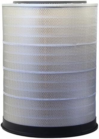 Amazon.com: SANZHILU P181038 Engine Air Filter Compatible with Wynn ...