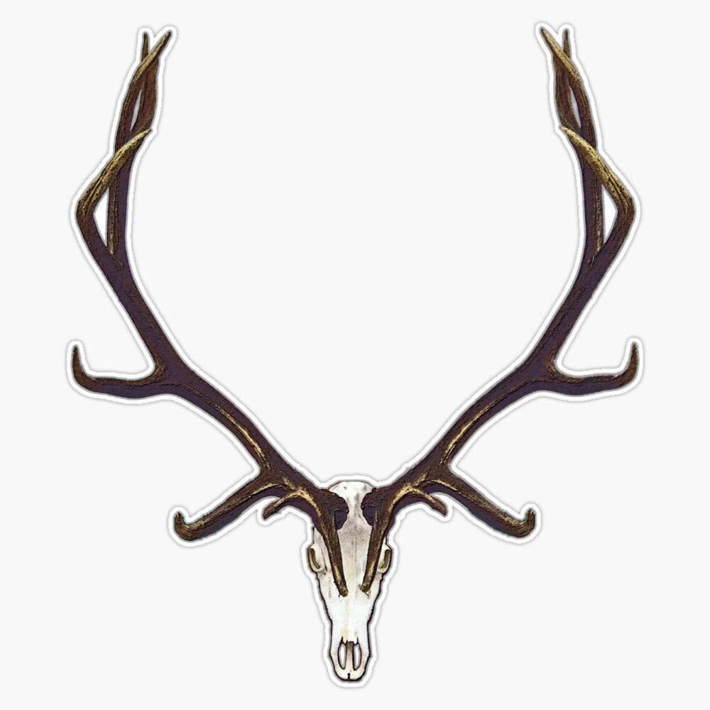 Amazon.com - Bull Elk Skull European Mount Vinyl Waterproof Sticker ...