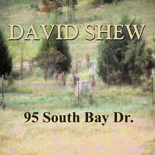 Amazon.com: 95 South Bay Dr. : David Shew: Digital Music