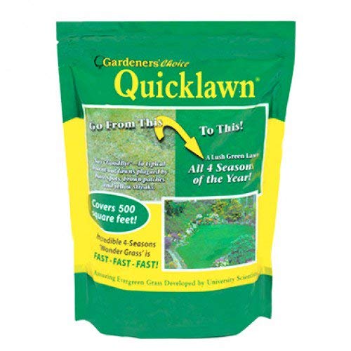 Top 10 Best Quick Growing Grass Seed : Reviews & Buying Guide - Katynel