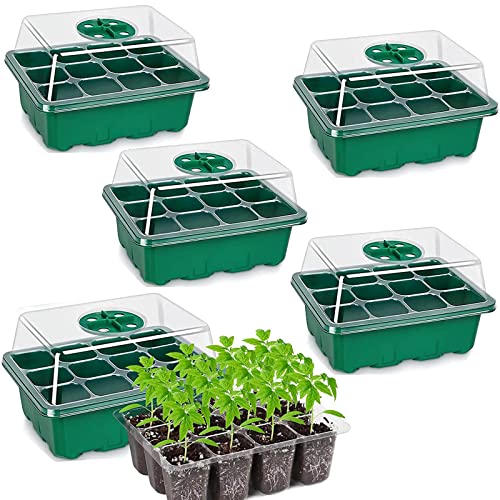 QHC sehen 5 Pack NEW Seed Trays 60 Cells with Heightened Lids, Plant ...