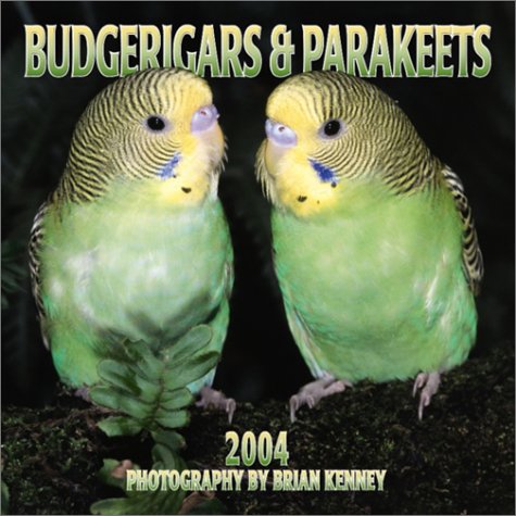 2004 (Budgerigars & Parakeets Wall Calendar) : Kenney, Brian: Amazon.in ...