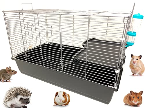 Metal Rat Cages That Will Keep Your Furry Friends Safe for Years to ...