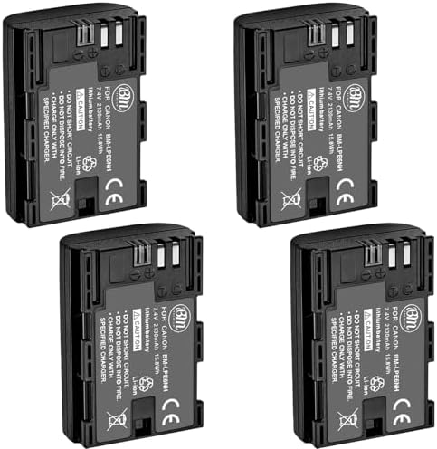 Amazon.com : BM Premium LP-E6NH High Capacity Battery for Canon EOS R ...