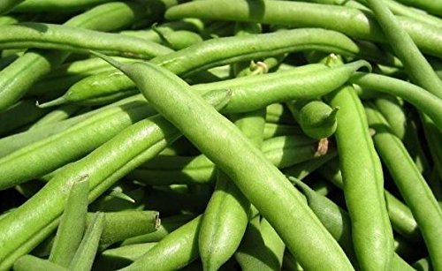 Creeper Bean Seeds by National Gardens : Amazon.in: Garden & Outdoors