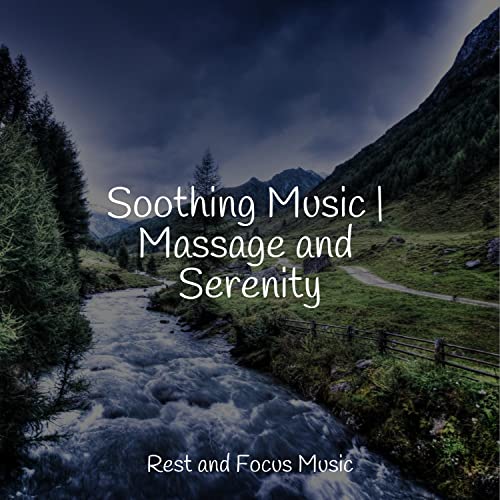 Soothing Music | Massage and Serenity di Preschool Kids, Meditation ...