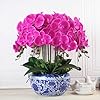 Amazon.com: CXGS Artificial Orchid Flower 9 Large Petals Realistic ...
