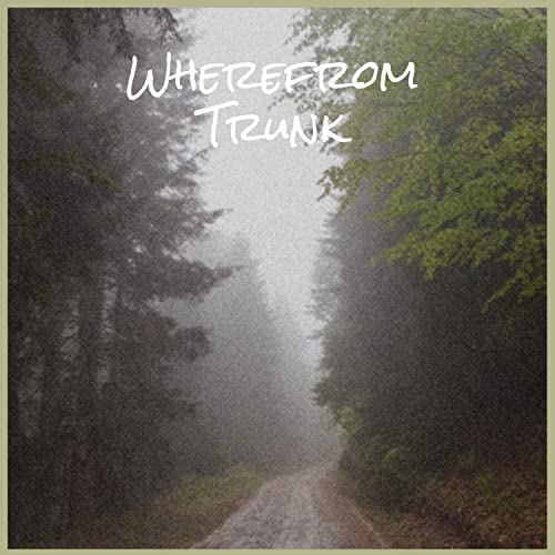 Play Wherefrom Trunk by VARIOUS ARTISTS on Amazon Music Unlimited