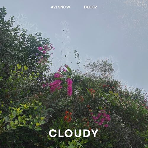 Play Cloudy by Avi Snow & Deegz on Amazon Music Unlimited