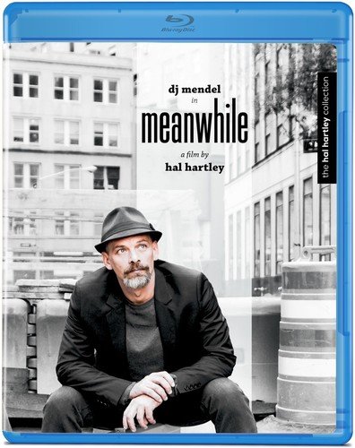 Meanwhile: Hal Hartley, D.J. Mendel, Danielle Meyer, Pallavi Sastry ...