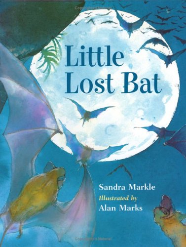 Little Lost Bat: Sandra Markle, Alan Marks: Amazon.com: Books