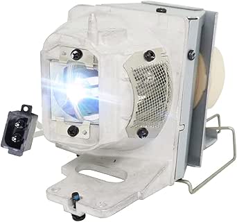 Amazon.com: JISIZKY BL-FU220E Original UHP240W Replacement Module Lamp ...