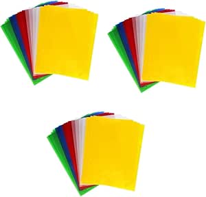 Amazon.com : Plastic Wallets a4 Stapler Wallet folders Folder with ...