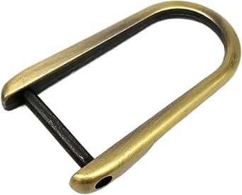Amazon.com: CHATROOM 1 Pcs Metal Detachable Open Removable Shackle ...