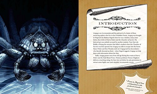 IncrediBuilds: Harry Potter: Aragog Deluxe Book and Model Set - Want It All