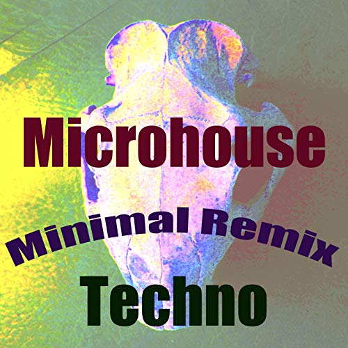 Amazon.com: Minimal Techno Remix : Microhouse: Digital Music