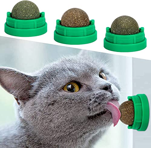 Catnip Bubbles – The 15 best products compared - Wild Explained