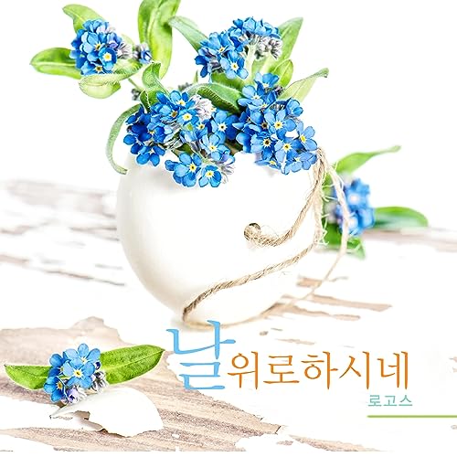 Amazon MusicでLOGOSのYou Comfort Me.を再生する