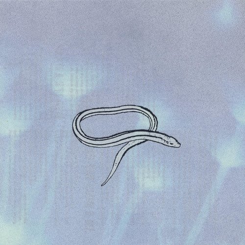 Bring On the Snakes von Crooked Fingers bei Amazon Music - Amazon.de