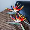 Amazon.com: DUYONE Artificial Flowers Bird of Paradise 37'' Large Latex ...