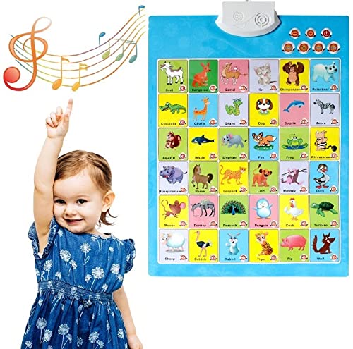 Buy Glan Interactive Sound Wall Chart Electronic Voice Chart Multi ...