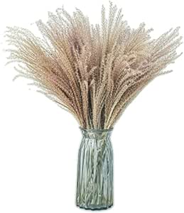 Natural Reed flower, Dried Reed Plumes, Phragmites Communis,Wedding ...