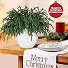 Amazon.com: 24 Pcs Realistic Christmas Greenery Stems, Natural Droopy ...