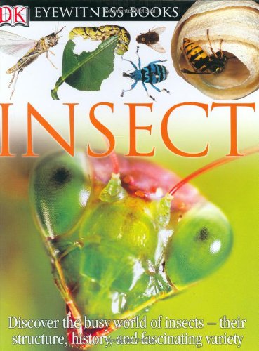 Insect (DK Eyewitness Books): Mound, Laurence: 9780756606916: Amazon ...