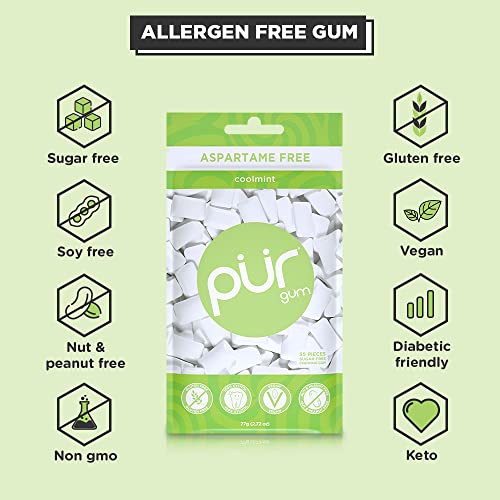 Snapklik.com : PUR Gum Aspartame Free Chewing Gum 100% Xylitol Natural ...