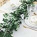 Amazon.com: mizii 2 Strands Artificial Vines Ivy Garland 79" Fake Vine with Silk Green Leaves ...