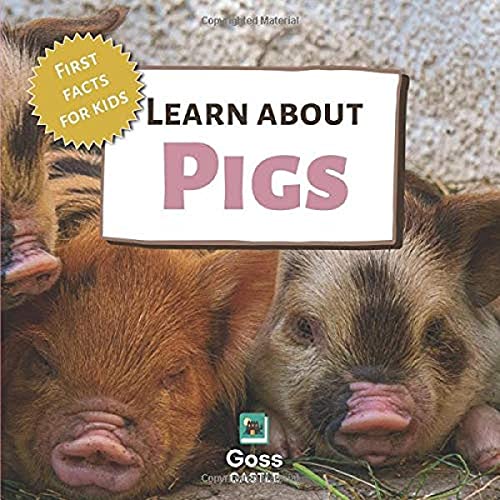 The Best Children's Books About Pigs for Facts, Adventures, and Life ...