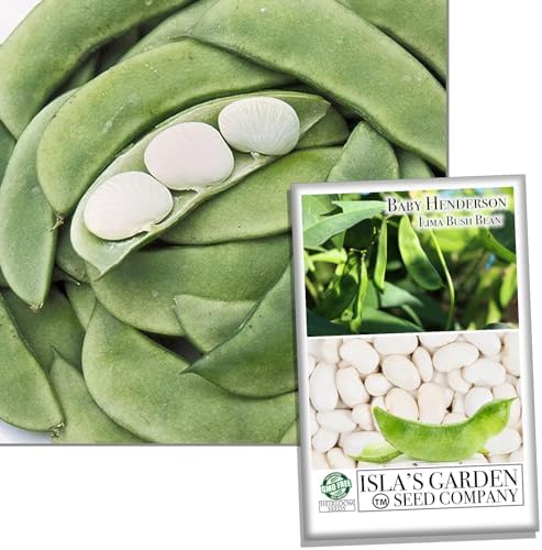 Amazon.com : Mezcla Pole Lima Bean Seeds - Huge yields of Excellent ...