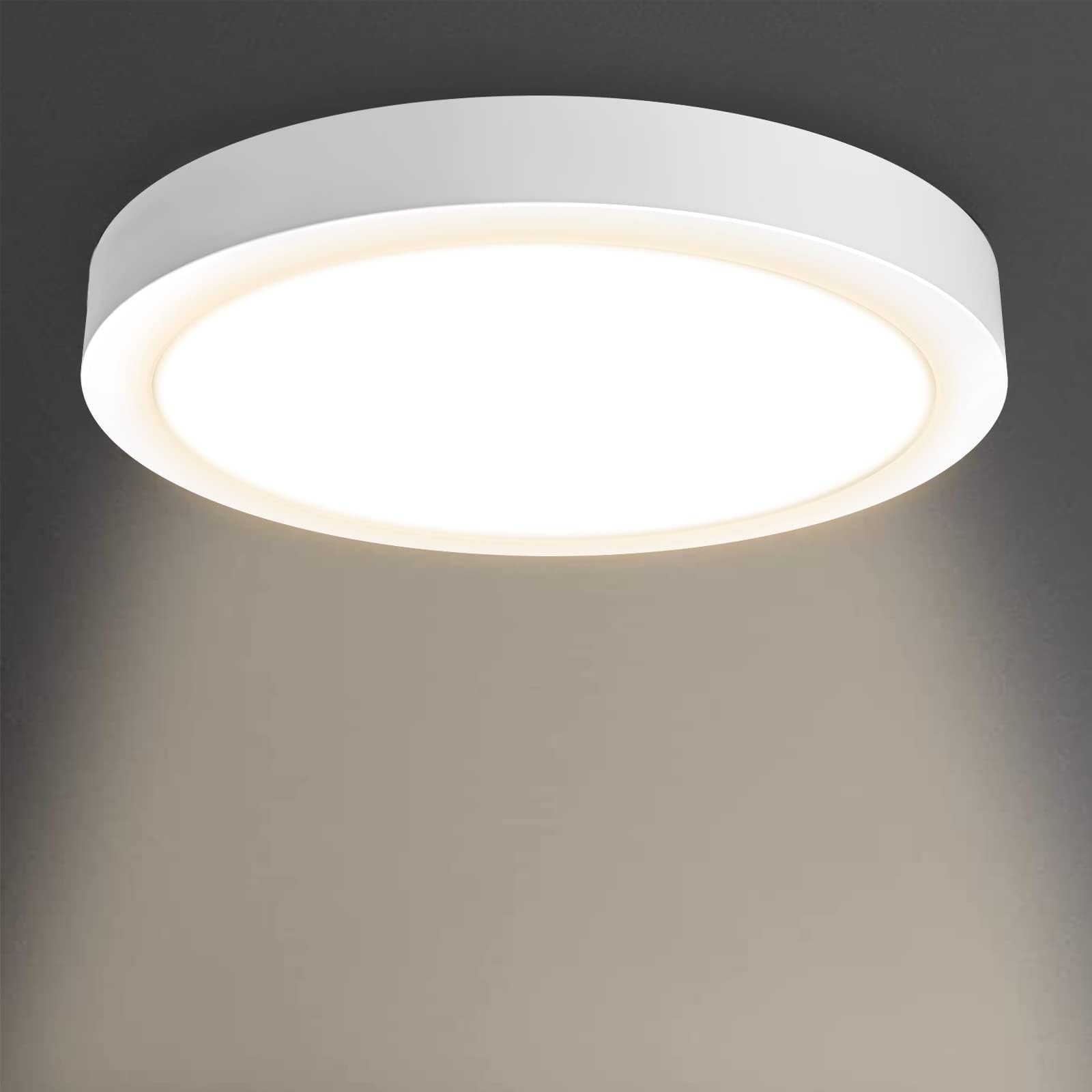 DINGLILIGHTING 12W Led Bathroom Ceiling Light Waterproof ,Aluminum ...