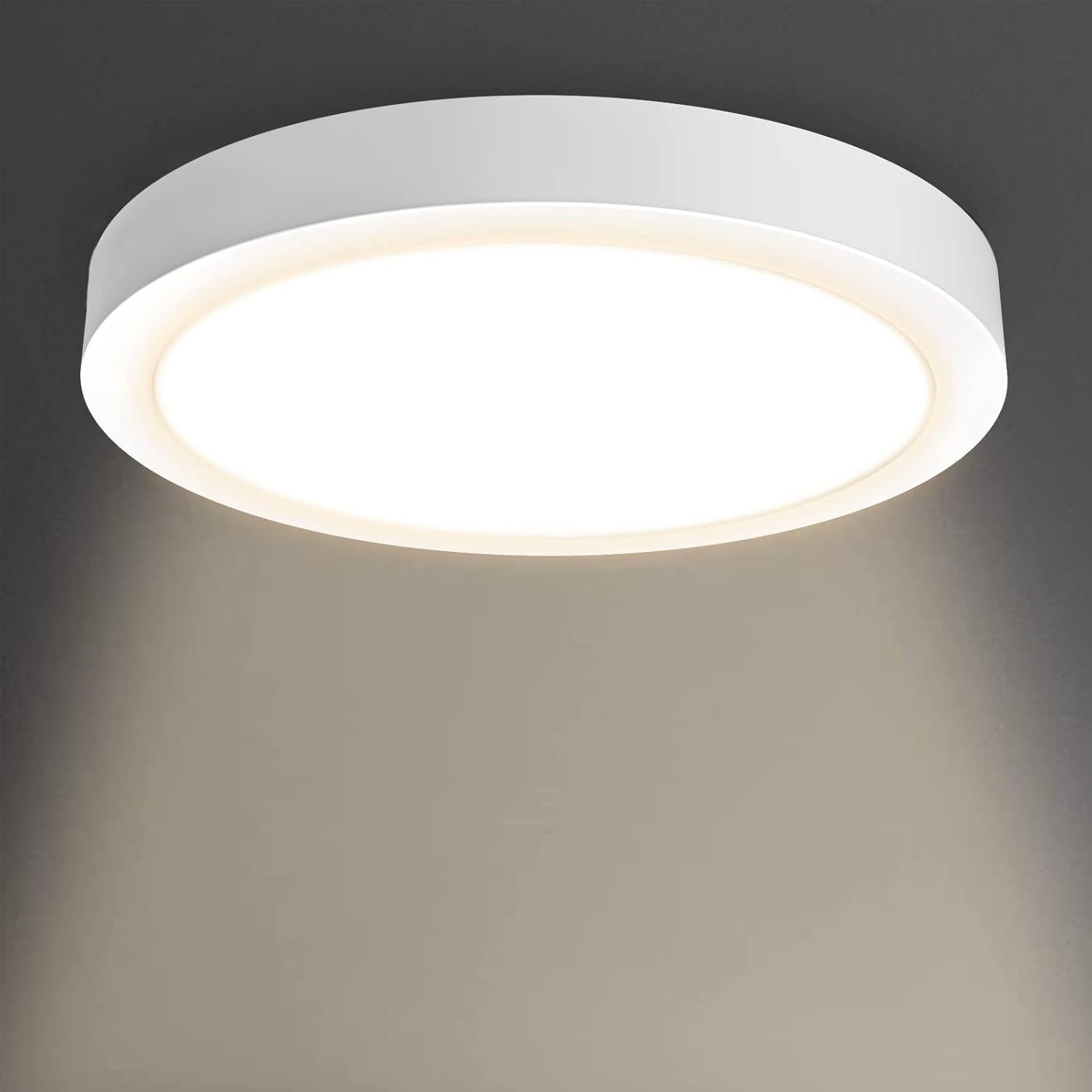 DLLT LED Flush Mount Ceiling Light, 24W Led Surface Round Ceiling Light ...