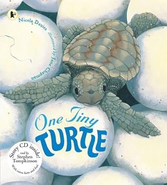 One Tiny Turtle: اشتري اون لاين بأفضل الاسعار في مصر - سوق.كوم الان اصبحت امازون مصر