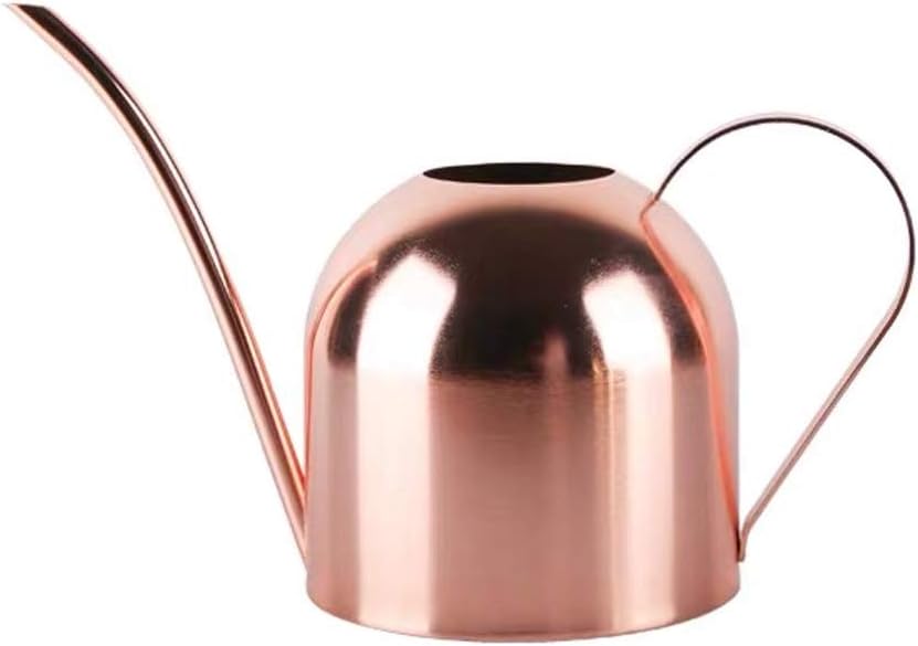 Amazon.com : YISSN Small Indoor Watering Can for Houseplants Office ...