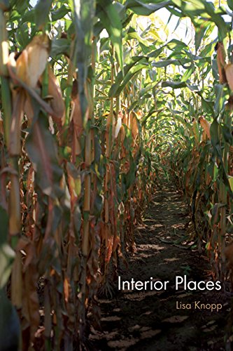 Amazon.com: Interior Places eBook : Knopp, Lisa: Kindle Store