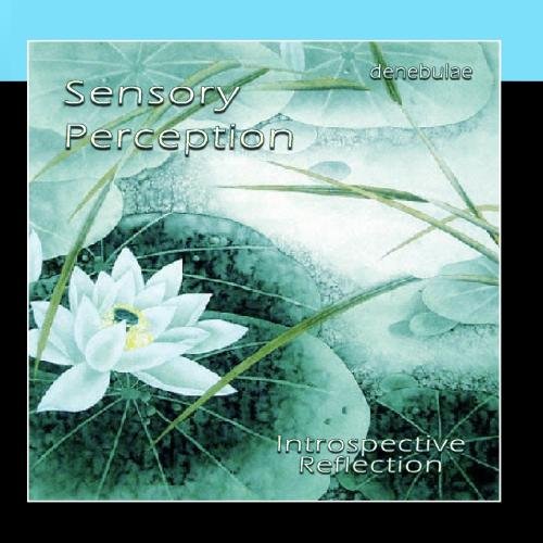 Amazon.com: Sensory Perception: CDs & Vinyl