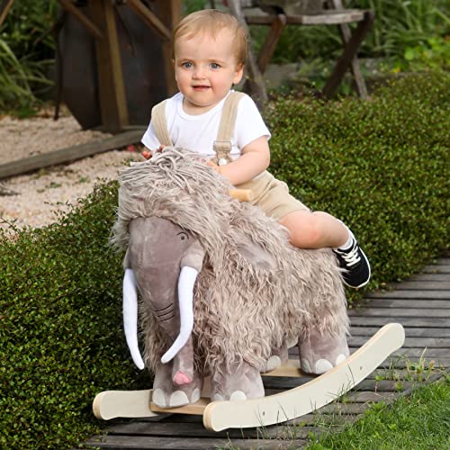 10 Best Baby Animal Rockers Reviews and Buying Guide October of 2022 ...