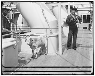 Goats On Navy Ships: An Age-Old Practice Explained | PetShun