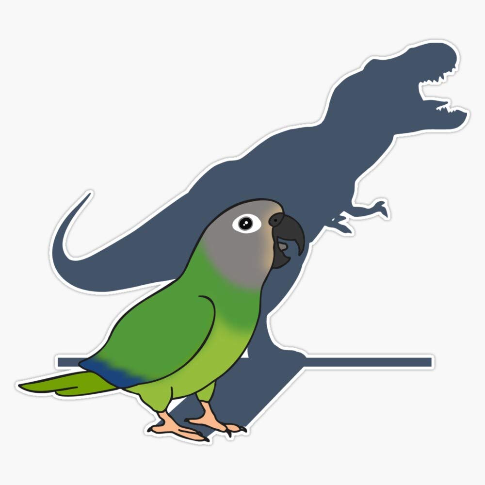 Dusky Conure