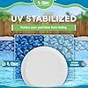 Amazon.com : Rx Clear 1" Inch Chlorine Tabs | 8 Pounds | Use Tablets as ...
