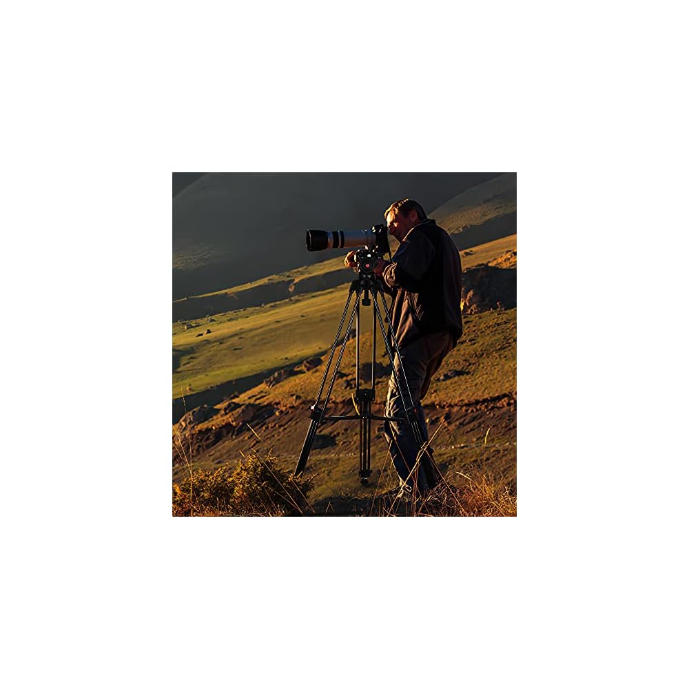 Professional Video Tripod with Fluid Head, Max Australia | Ubuy