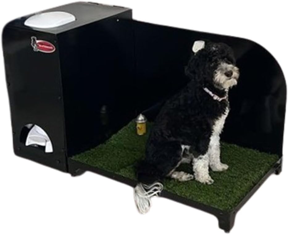 Amazon.com: Quick N Clean Potty Station W/Steel Potty Attendant & Pee ...