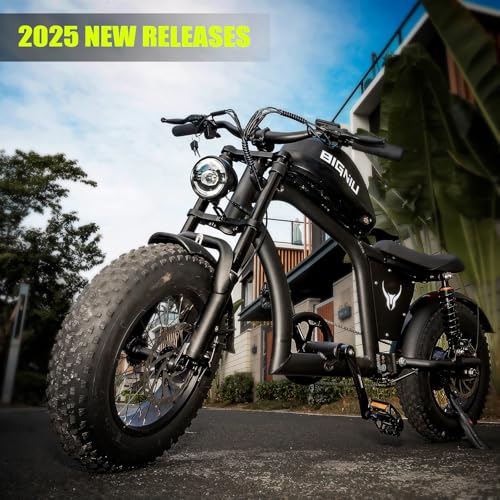 BIGNIU BG-XMINI Electric Bike 500W Motor, 48V 13Ah Battery, Chopper ...