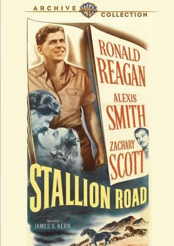 Amazon.com: Stallion Road : Movies & TV