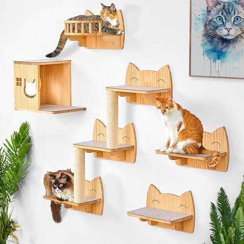 Amazon.com : Pryde Pets Wall Mounted Cat Shelves - Set of 4 - Cat Wall ...