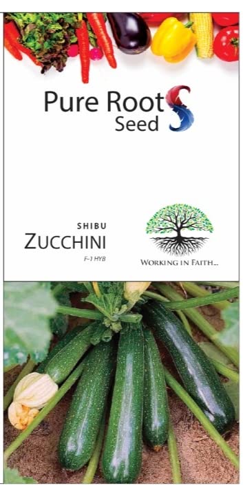 Pure Root Seed Shibu Zucchini (F-1 HYB) Vegetable Seeds, Pack of 20 ...